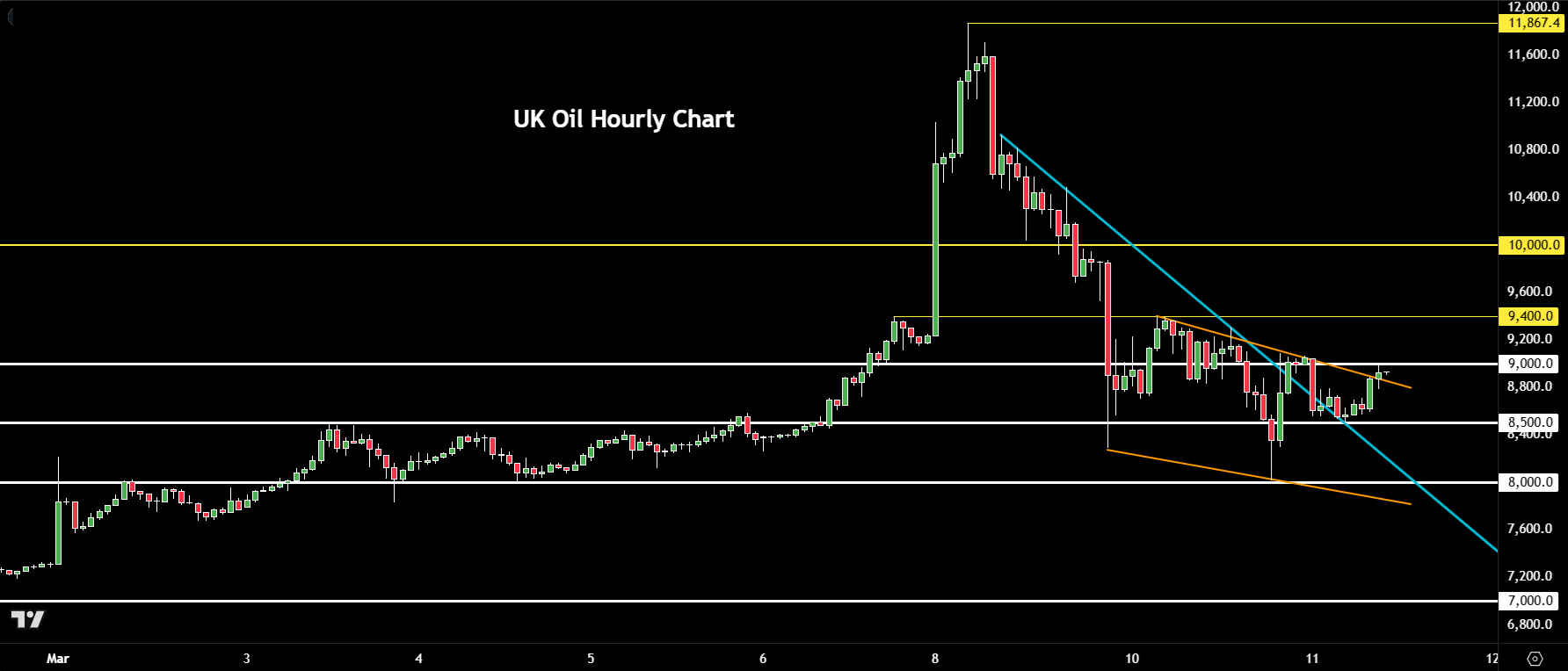 Crude oil analysis: IEA’s potential record oil reserves release and ...