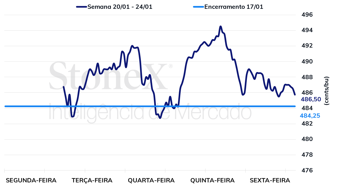 Portal de Relatórios - StoneX