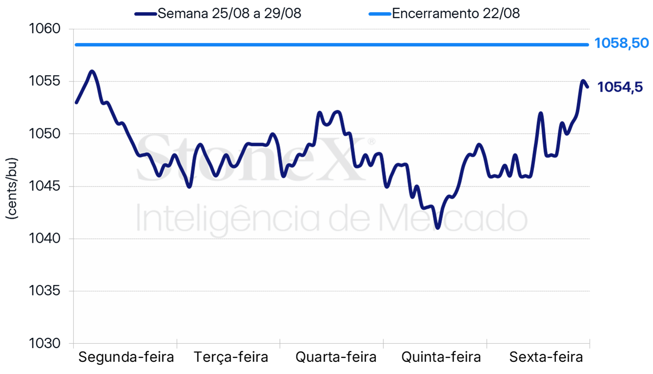 Portal de Relatórios - StoneX