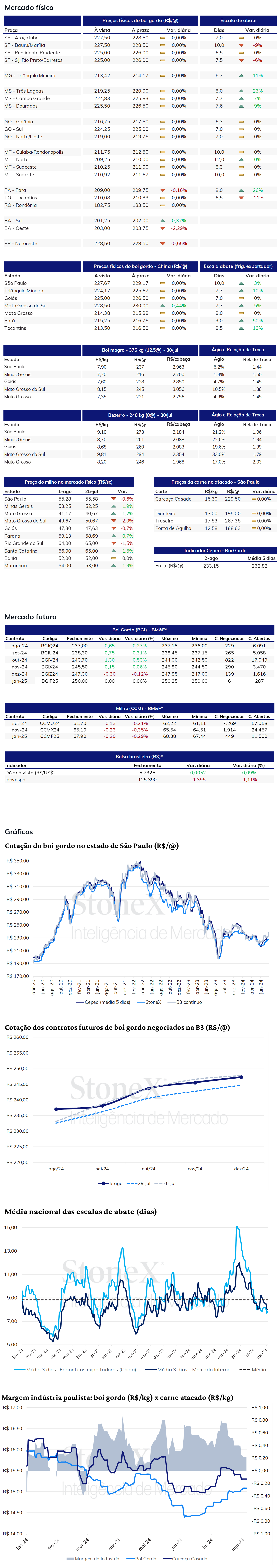 Portal de Relatórios - StoneX